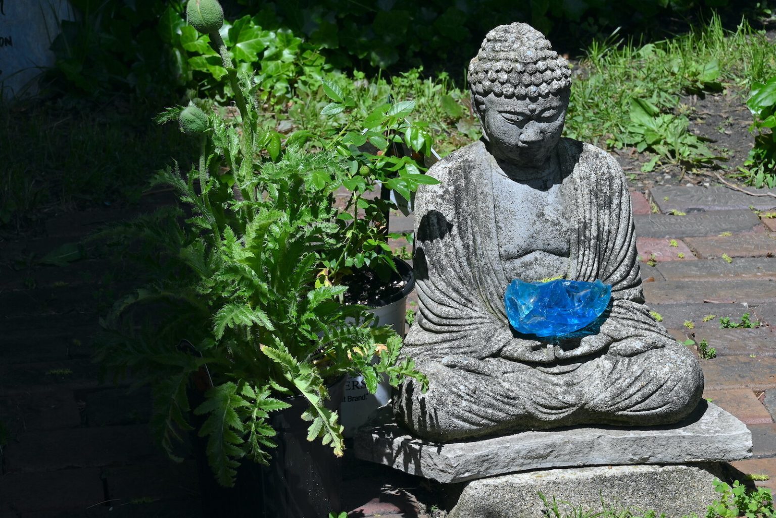 Battle Creek SokokuJi Buddhist Temple expands outreach through planned ...