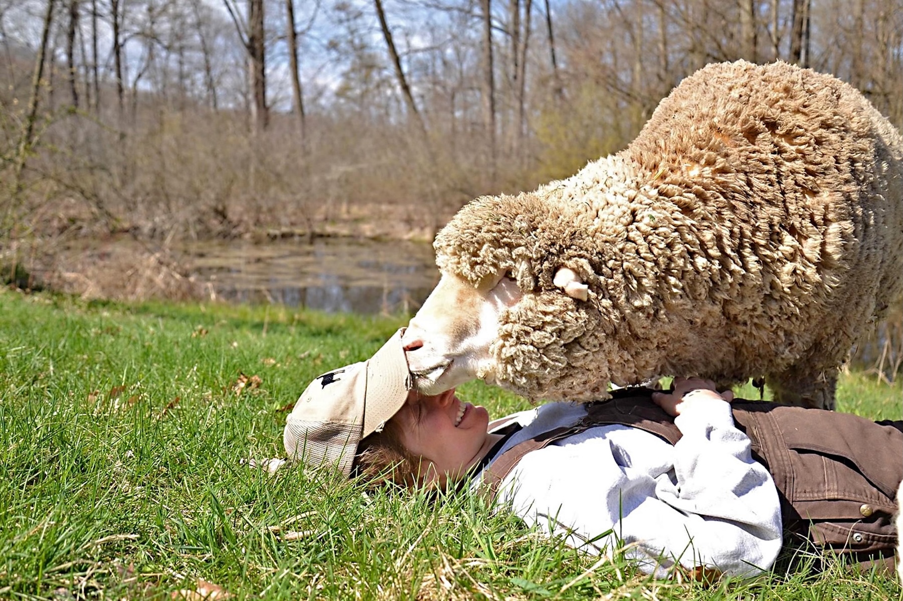 Where every goat has a name: Chubby Goat Acres gives neglected farm ...